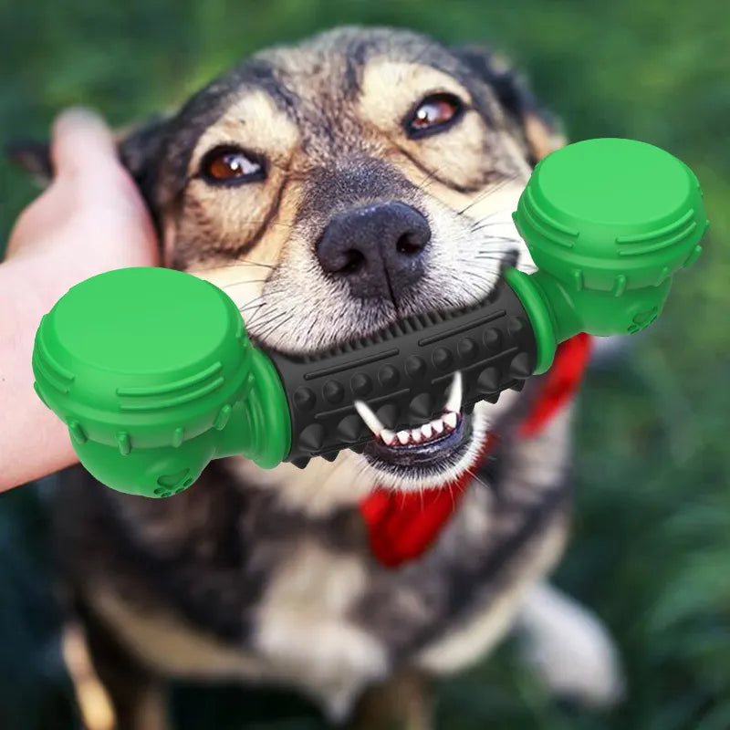 Ultimate Dog Toy Safety: The Most Indestructible Toys! – Rusty and Friends